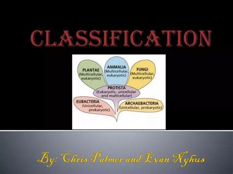 Ppt By Chris Palmer And Evan Nyhus Powerpoint Presentation Free