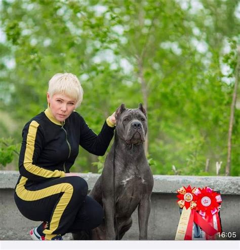 Justines Bedroom Updated Their Profile Justines Bedroom