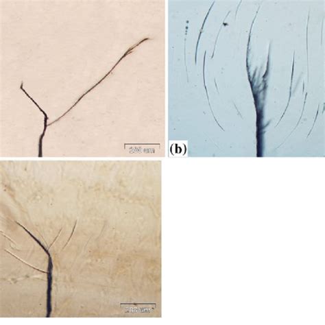 Scanning Electron Microscope Sem Of Nanocomposite Brittle Fracture