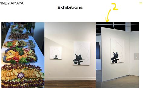 What Code Should I Use To Get The Hover Effect On The First Image And Gallery Carousel Fonts