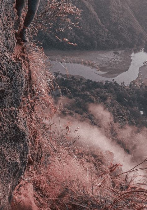 Dehydrator Temperature Chart