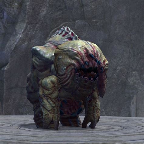 Starving Kryptis Guild Wars 2 Wiki Gw2w