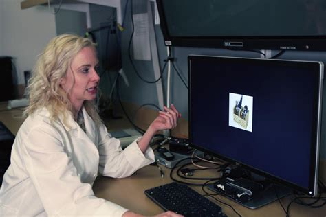 Insights Into The Distinct Roles Of Hippocamp Eurekalert