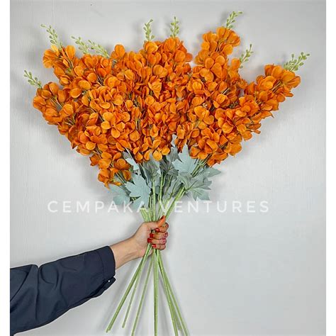 Bunga Harum Sundal Malam Bunga Jagung Hiasan Pelamin Matthiola Flower Wedding Home Decoration