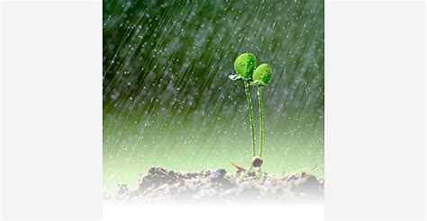 Polyether Modified Silicone Oil Silicone Adjuvant Polyether