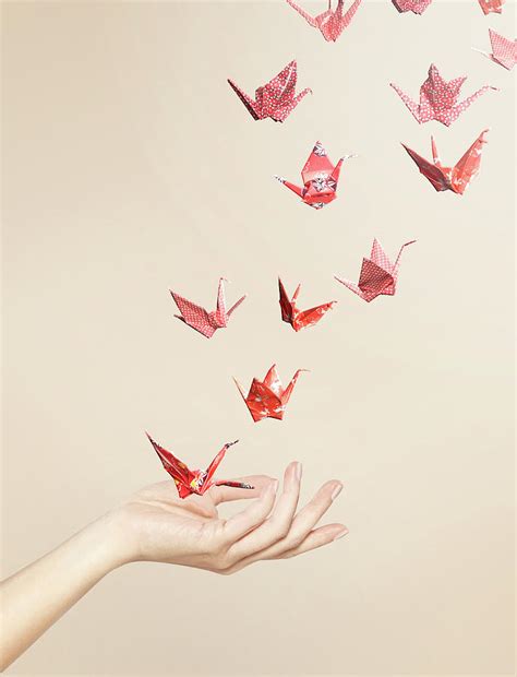 Flying Paper Crane Origami At Tayla Hunter Blog