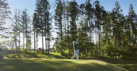 한여름 일본 홋카이도보다 시원한 골프장이 있다는데