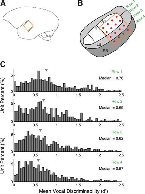 Figure 1 From Comparison Of Auditory Vocal Interactions Across Multiple