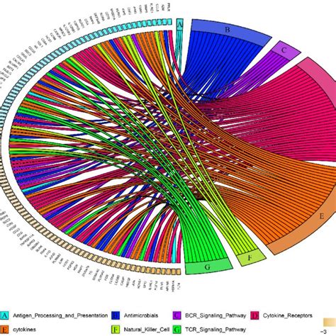 Cluster Analysis Of Mfuzz Transcriptome Expression Pattern Trend