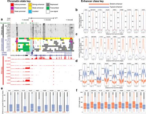 Systematic Profiling Of Dnase I Hypersensitivity Chromatin States And
