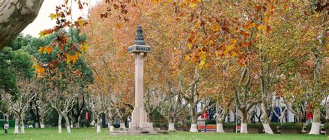 青年长江学者答辩ppt设计制作美化 Wordinppt 专业学术ppt制作公司院士增选ppt国家科技奖ppt杰青ppt长江学者