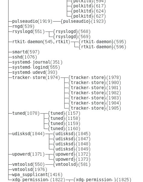 Linux 磁盘管理进程管理 极客之音