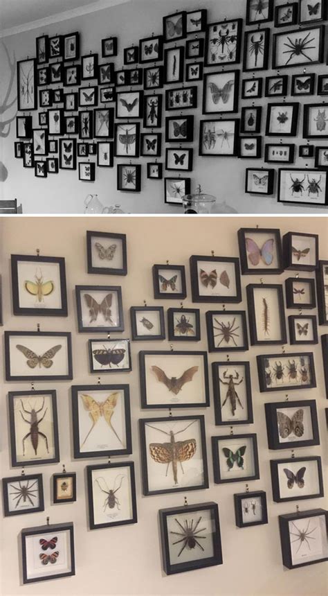 People Share Their Unique Collections Bored Panda