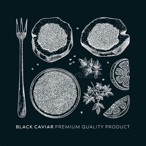 Hand Drawn Black Caviar Sketches Set Isolated On Chalkboard Black Caviar In Opened Tin Can