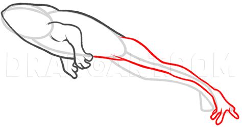 Tree Frog Jumping Drawing