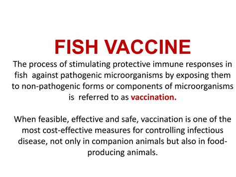 Fish Vaccine Ppt