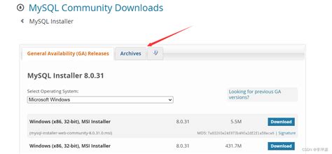 Mysql的多种安装方式（linuxwindows）mysql国内安装 Csdn博客
