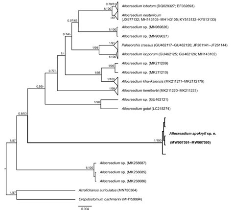 topology based on 28s rdna using bayesian inference bi approaches