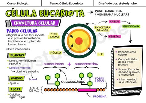 Apuntes Preuniversitarios Udocz