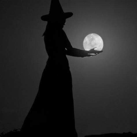 Come One And All Larp Inspiration Tumblr Blog Tumlook