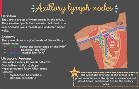 Axillary Lymph Nodes Radiology Consulting Facebook