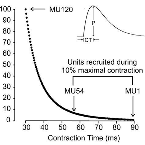 Example Cross ‐ Correlation Histograms Cross ‐ Correlation Histograms