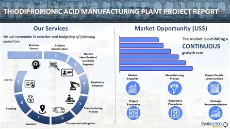 Thiodipropionic Acid Manufacturing Plant Project Report 2025