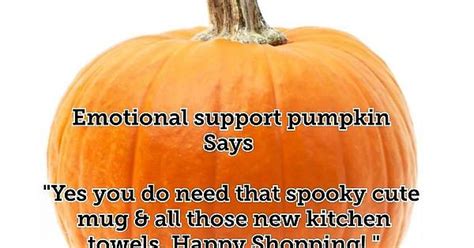 My Friend And I Are Weird And Send Each Other Weird Things Dump 4