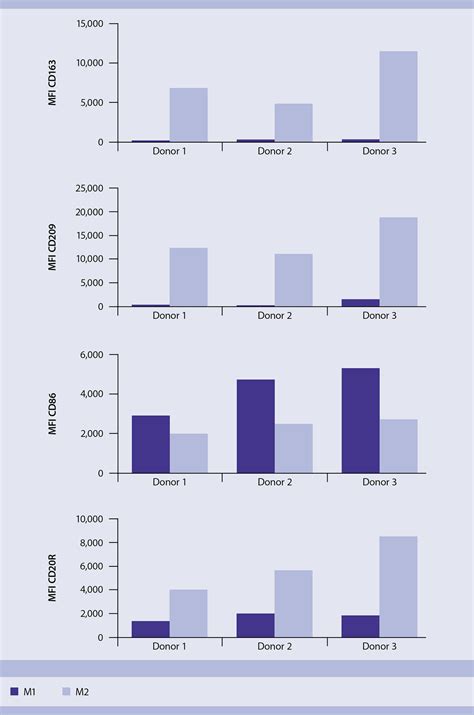 Lead Optimization Cell Activation Expansion And Polarization