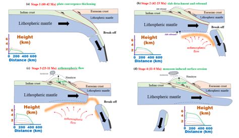 Schematic Illustration Of The 2 D Tectonic Evolution Of The Himalayan