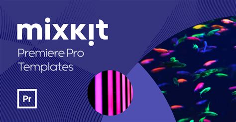Free Premiere Pro Shape Template Downloads Mixkit