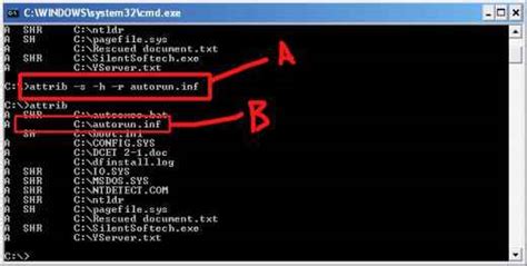 Complete Tutorial How To Delete Viruses And Malware Using Command Prompt