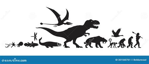 Evolution Of Life On Earth Silhouette Timeline Of Evolution From