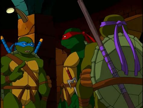 Tmnt 2003 Leo Raph And Donnie By Hedwieapotter On Deviantart