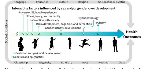 Figure 1 From A Developmental Framework For Understanding The Influence