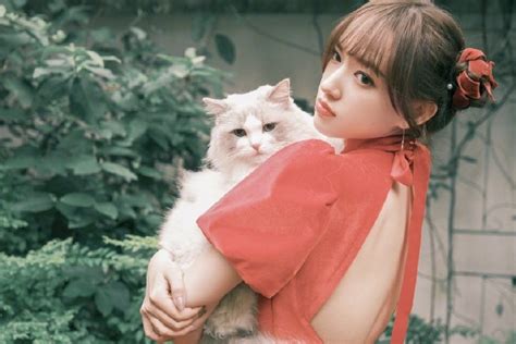 性感美女明星程潇春丽造型图片人物明星图片乐美图网