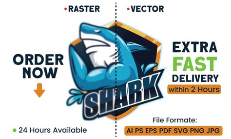 Do Manual Vector Tracing Your Design In Hour By Shameenshaikh Fiverr