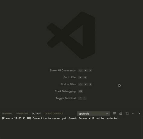PlatformIO Error Connection To Server Got Closed Server Will Not Be Restarted Issue