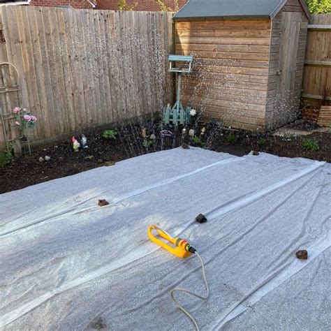 7 Ways To Stop Birds Eating Grass Seed And Protect Your Lawn