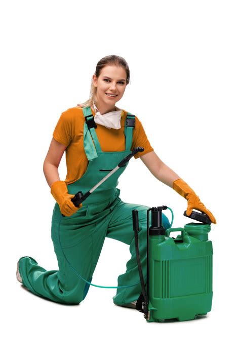 Bed Bug Exterminators Expert