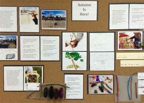 Pedagogical Documentation In Kindergarten A How To Guide