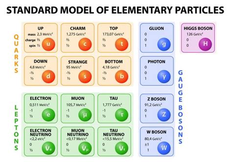 10 Years Of Large Hadron Collider Discoveries Human World Earthsky