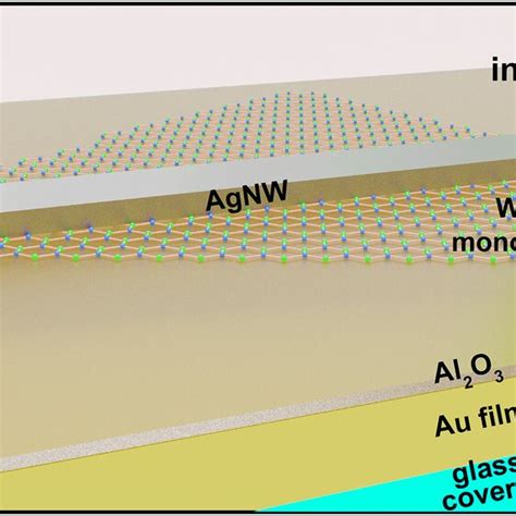 Schematic Of The Experimental Setup The Ws2 Monolayer Was Placed Over