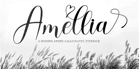 amellia script font free download for web
