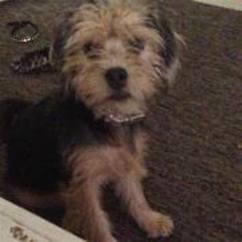 Stream Arron Reddick Music Listen To Songs Albums Playlists For