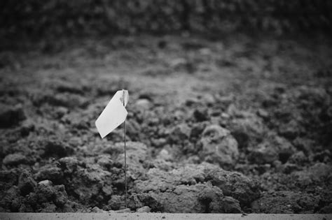 Premium Photo Selective Focus