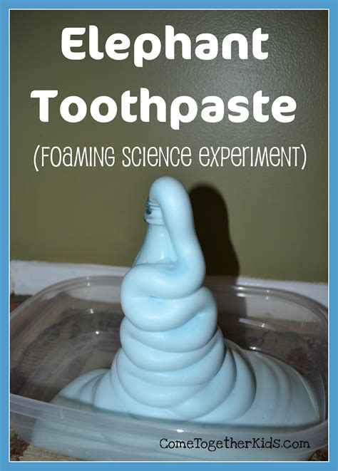 Elephant Toothpaste Science Fair Project