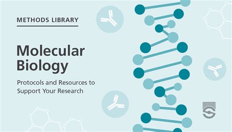 Molecular Biology Experience Meaning At Joshua Mayes Blog