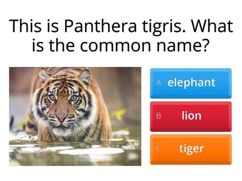 Binomial Naming System Quiz