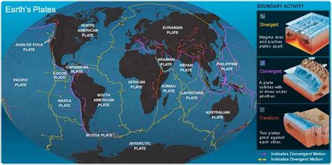 Understanding Human Behavior Genetic Reality Cracking The Plates